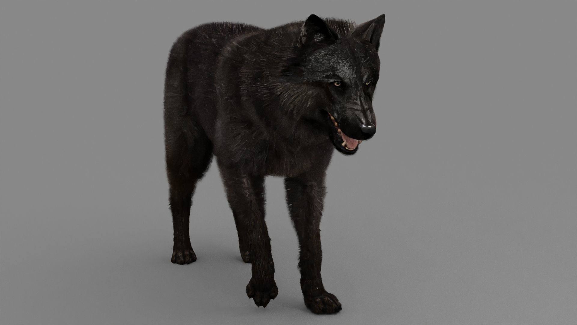 WOLF rigged character 3D model rigged | CGTrader