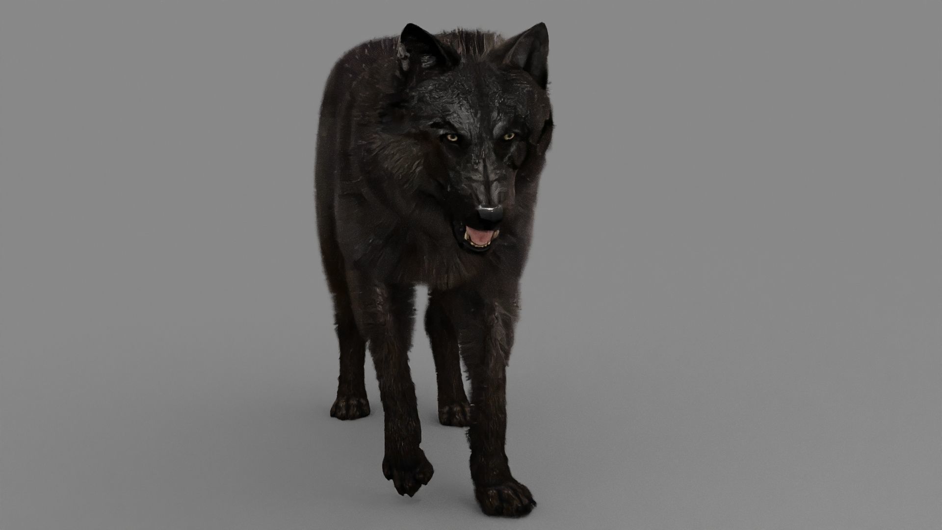 WOLF rigged character 3D model rigged | CGTrader
