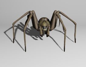 Spider 3D Models | CGTrader