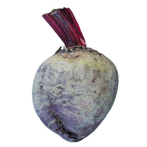 Beetroot beet 3D model | CGTrader