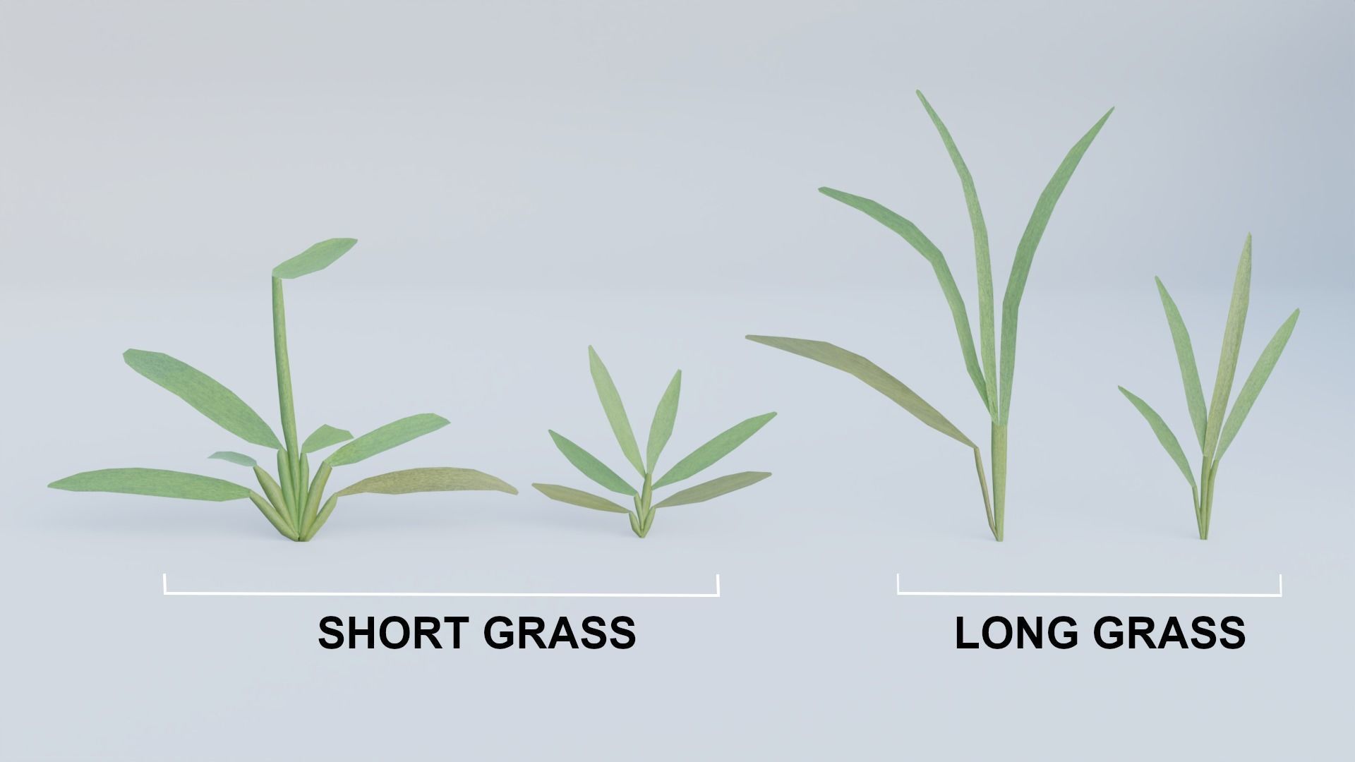 Realistic Grass Long and Short 3D model | CGTrader