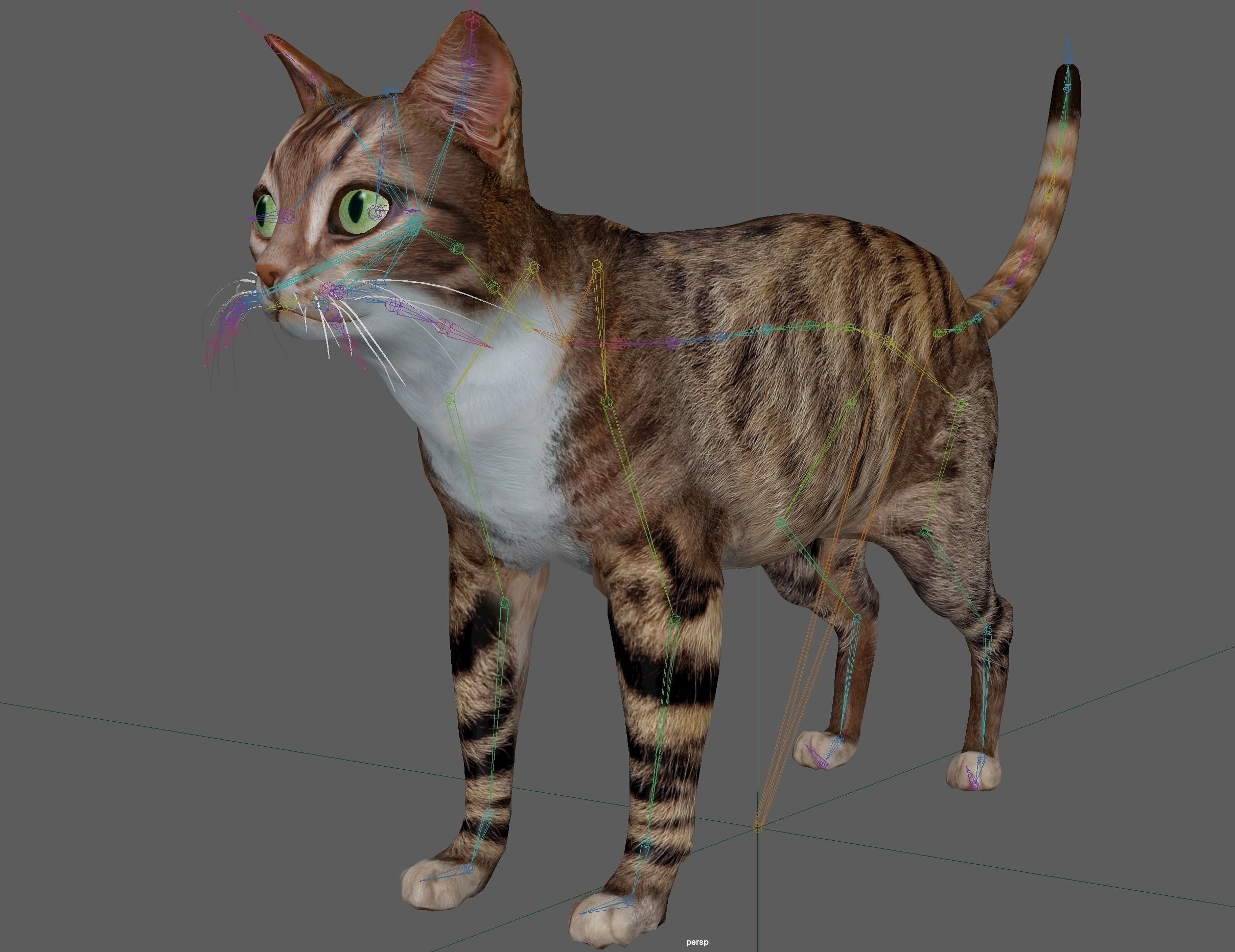 3D model Cat Rig VR / AR / low-poly | CGTrader