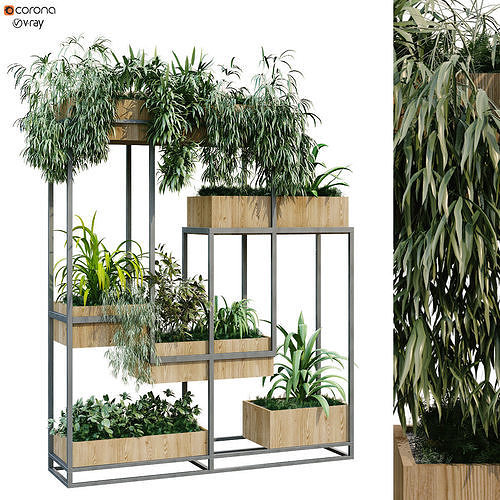vertical plant in box set 239 3D model | CGTrader