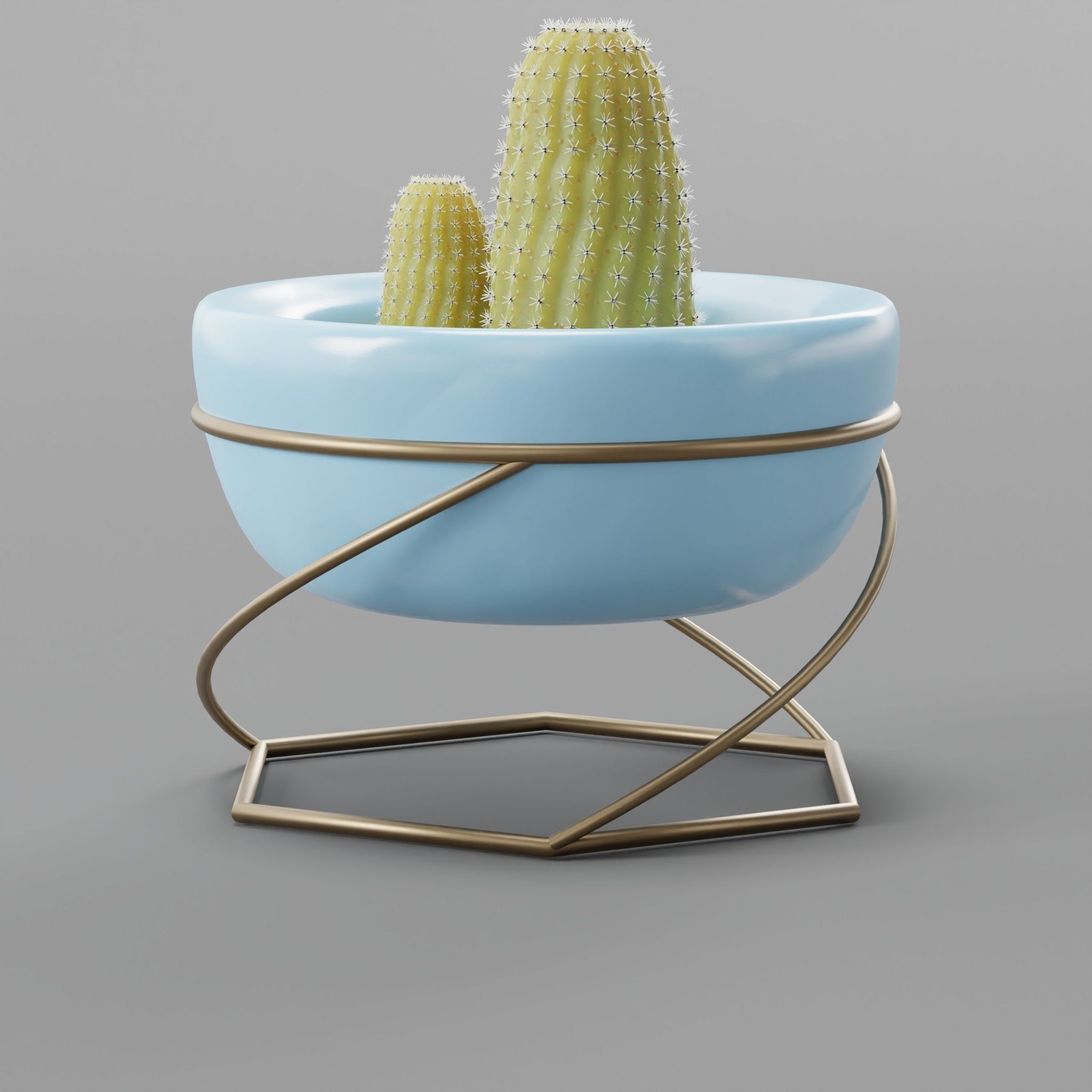 Procedural cactus free 3D model | CGTrader