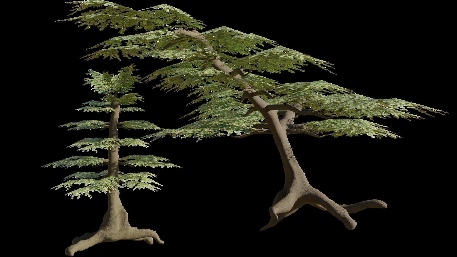 3D model One Oak Tree and One Willow Tree VR / AR / low-poly | CGTrader