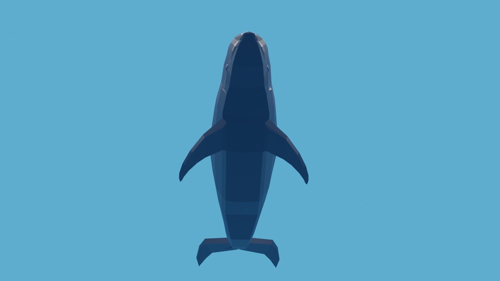 3D model Animated low-poly dolphin for you VR / AR / low-poly | CGTrader