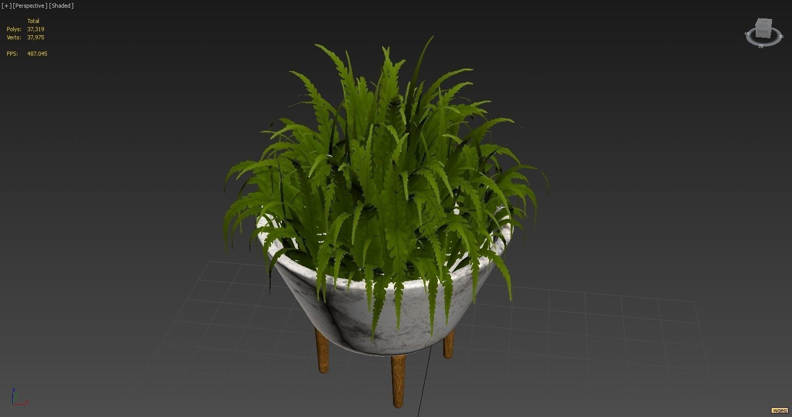 fern plan 3D model | CGTrader