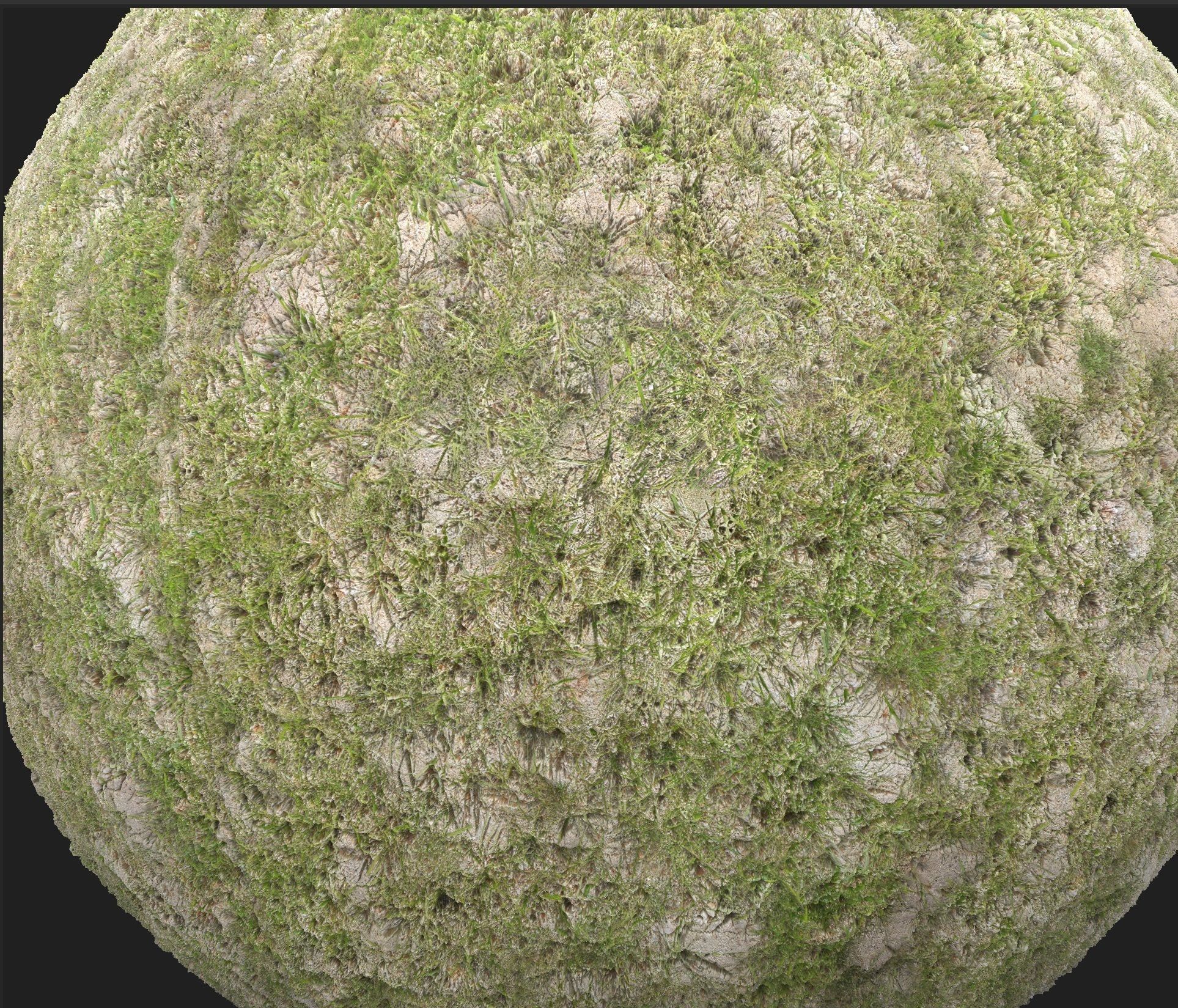 4K Grass with ground Texture | CGTrader