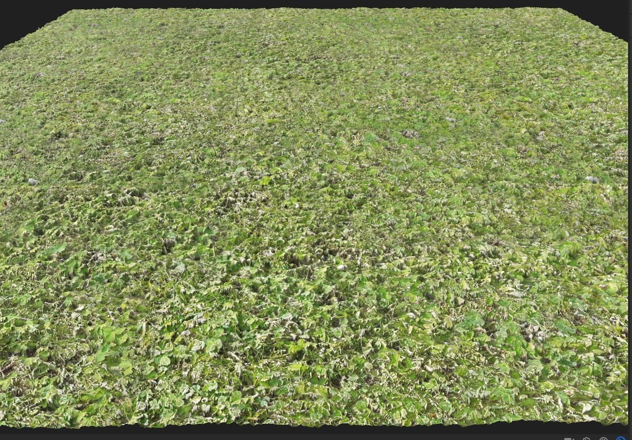 4K PBR Grass Green Texture | CGTrader