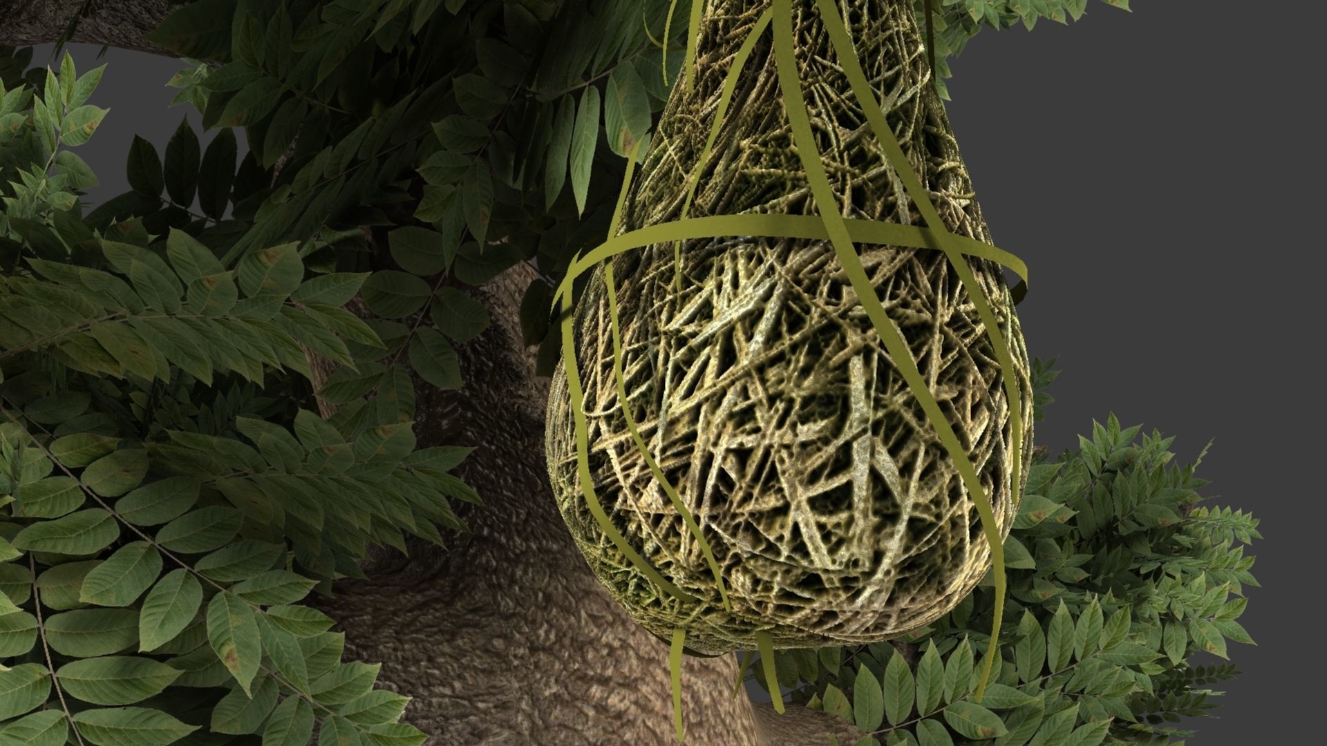 Baya Weaver Nest 3D model | CGTrader