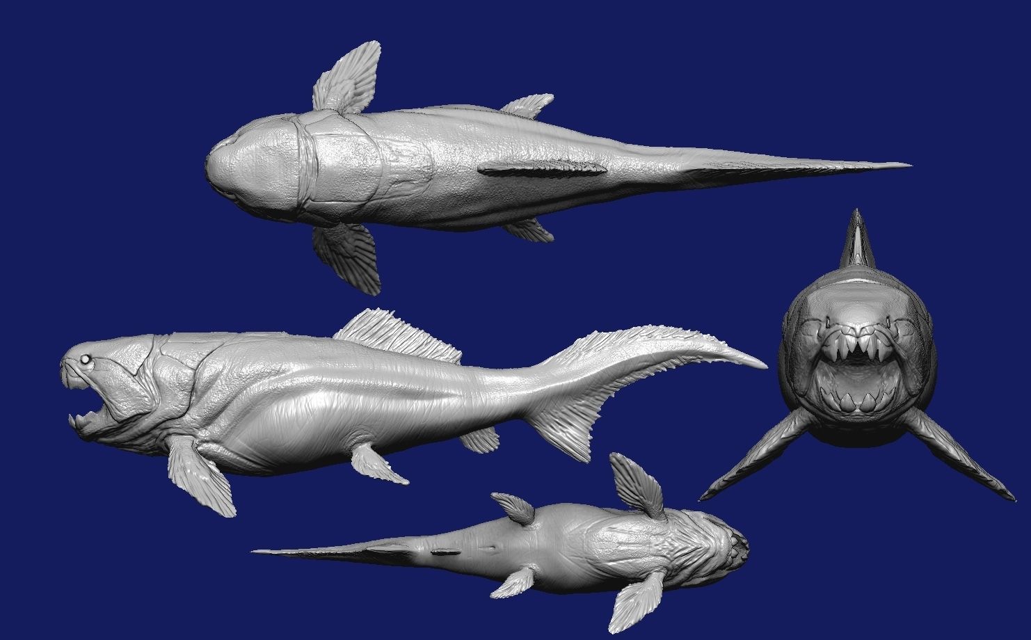 dunkleosteus 3D model | CGTrader