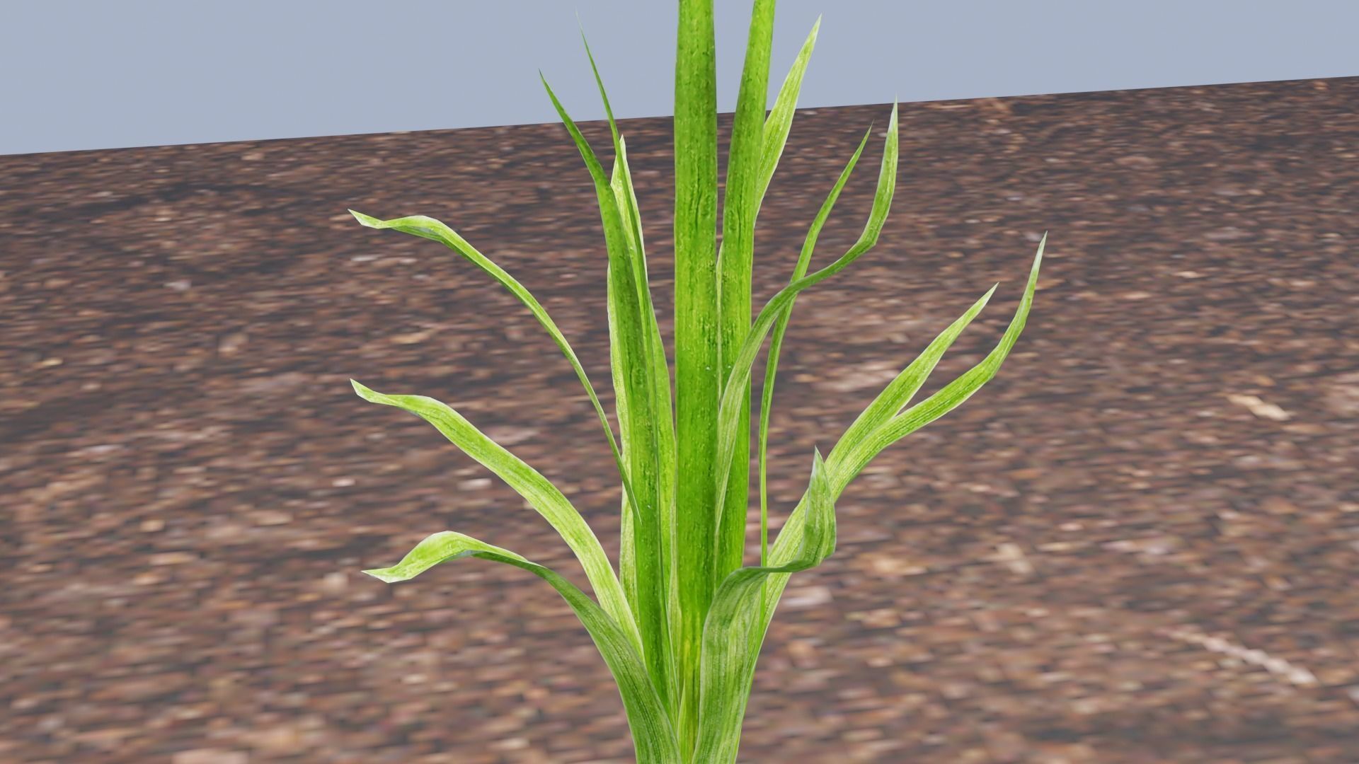3D model Grass Green LowPoly Grace 3D model VR / AR / low-poly | CGTrader