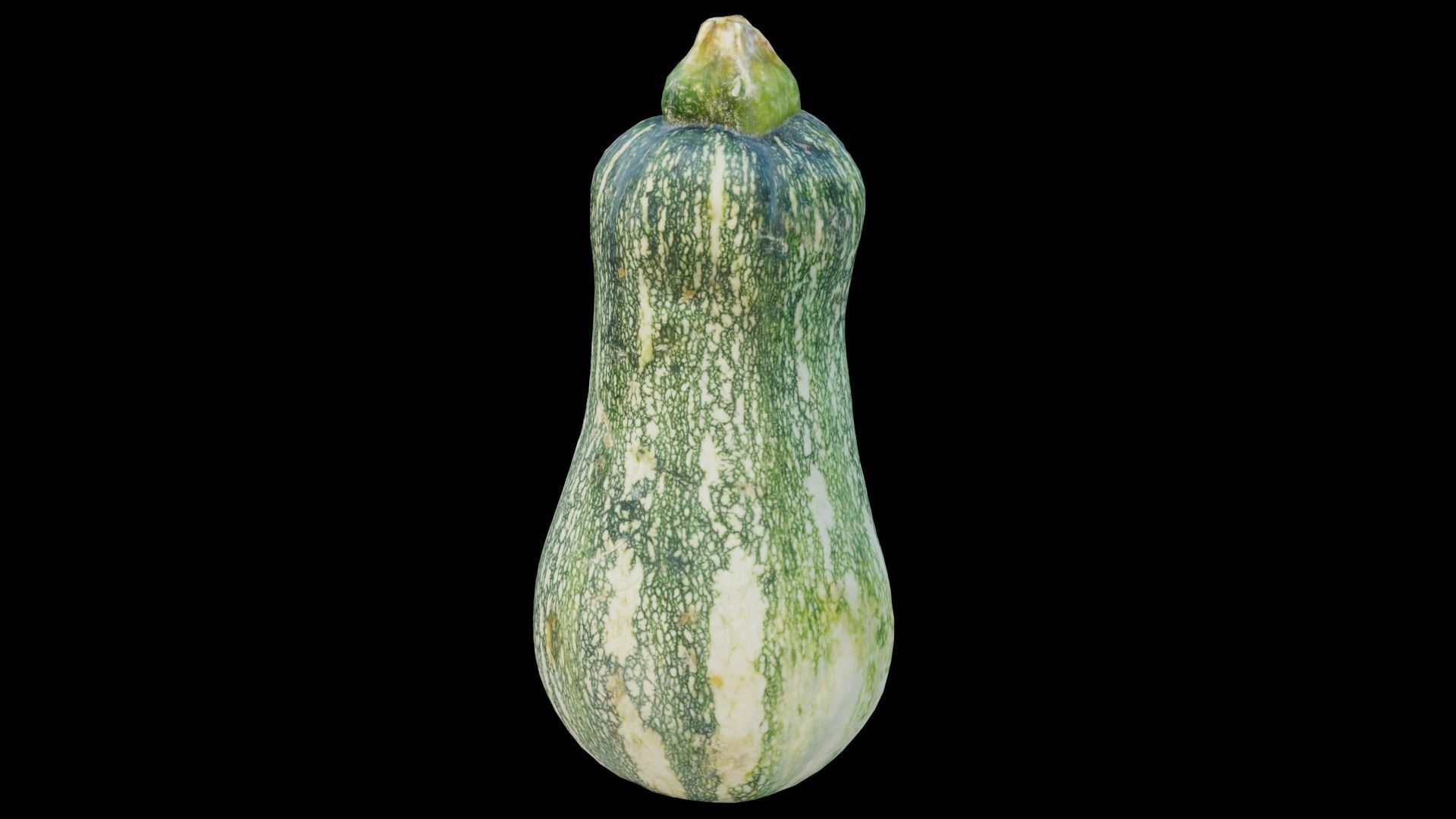 Squash Barbara Butternut 02 3D model | CGTrader