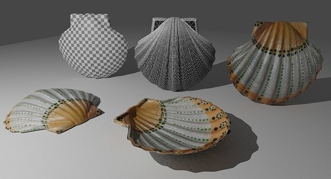 shell soap dish 3D model | CGTrader