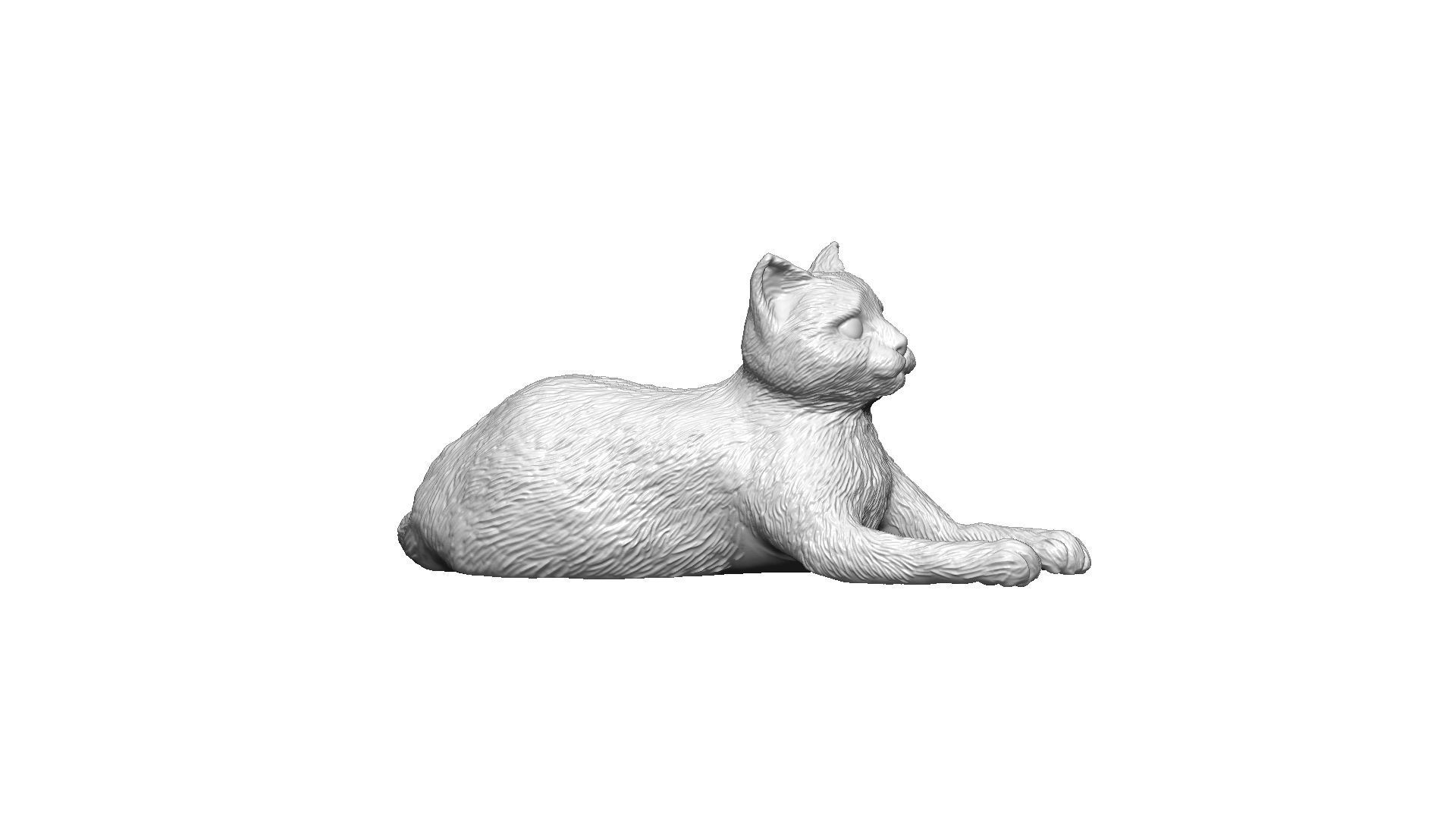 lying cat Zbrush Sculpt 3D modeling highpoly 3D model 3D printable ...