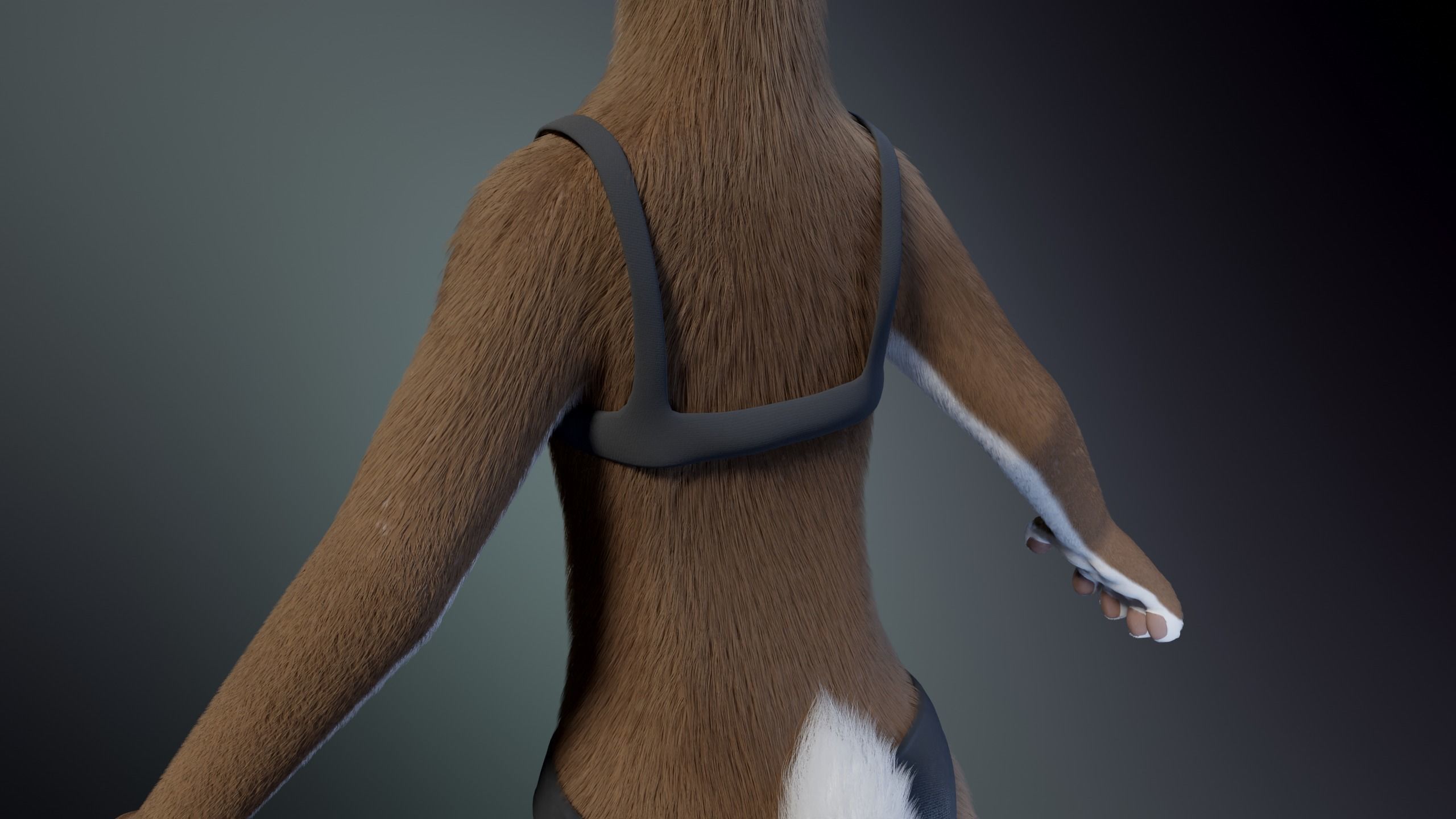 Carly Anthro Rabbit 3D model rigged | CGTrader