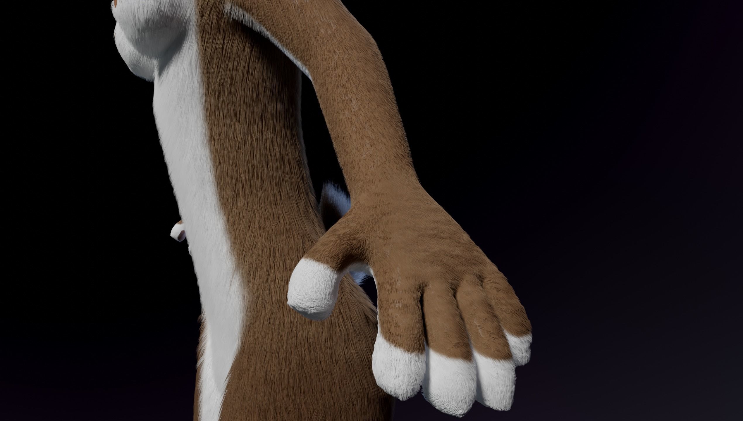 Carly Anthro Rabbit 3D model rigged | CGTrader