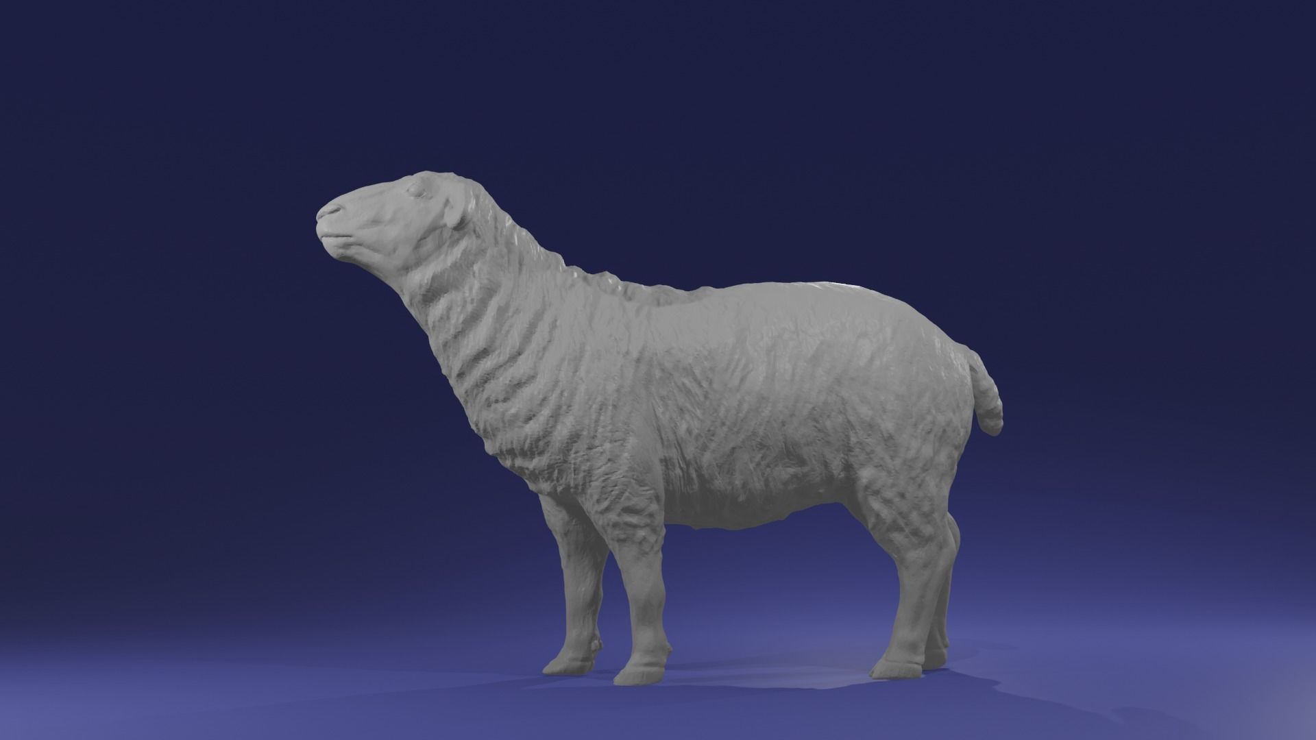 Sheep realistic for printing diorama - looking up 3D model 3D printable ...