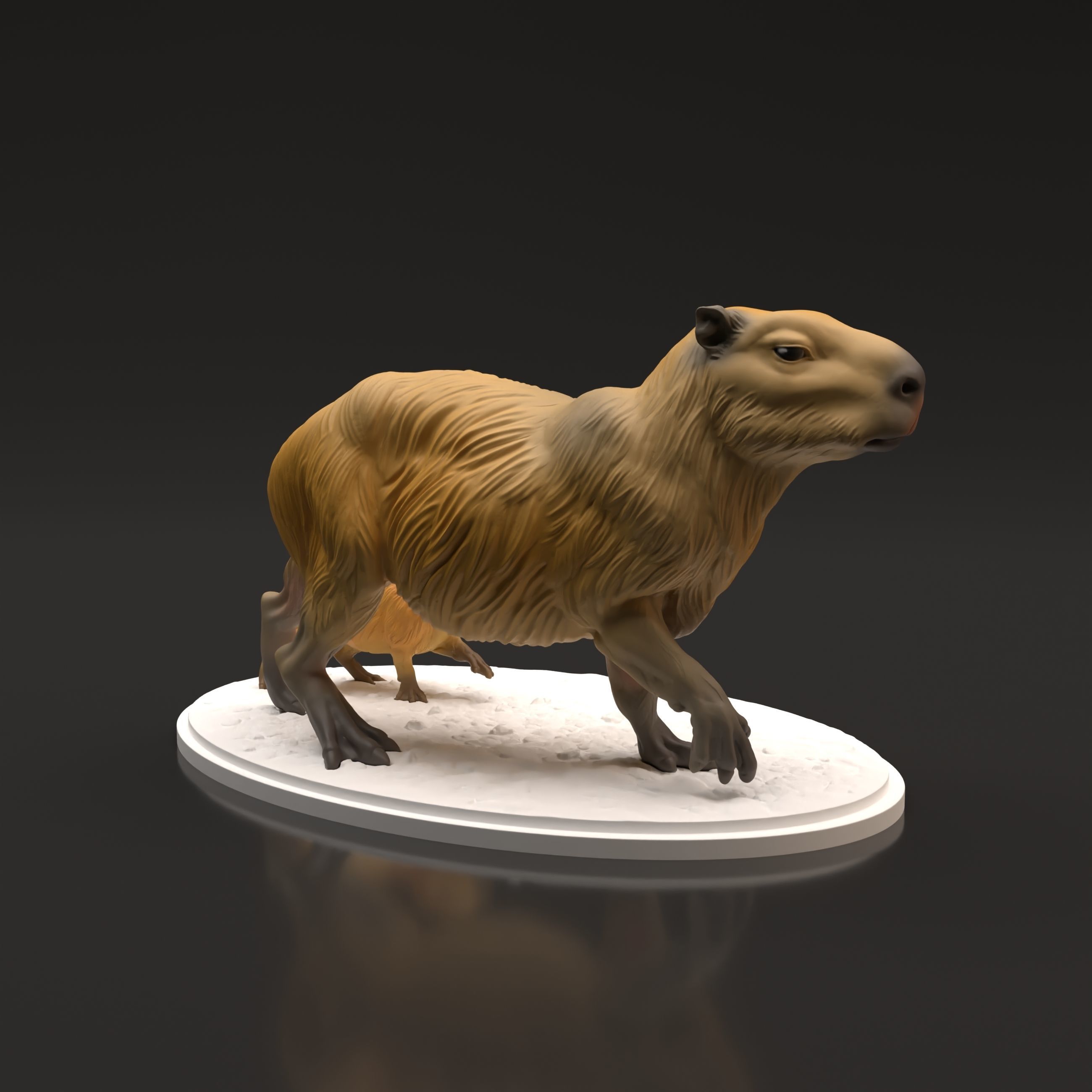 Capybaras for 3D Printing 3D model 3D printable | CGTrader