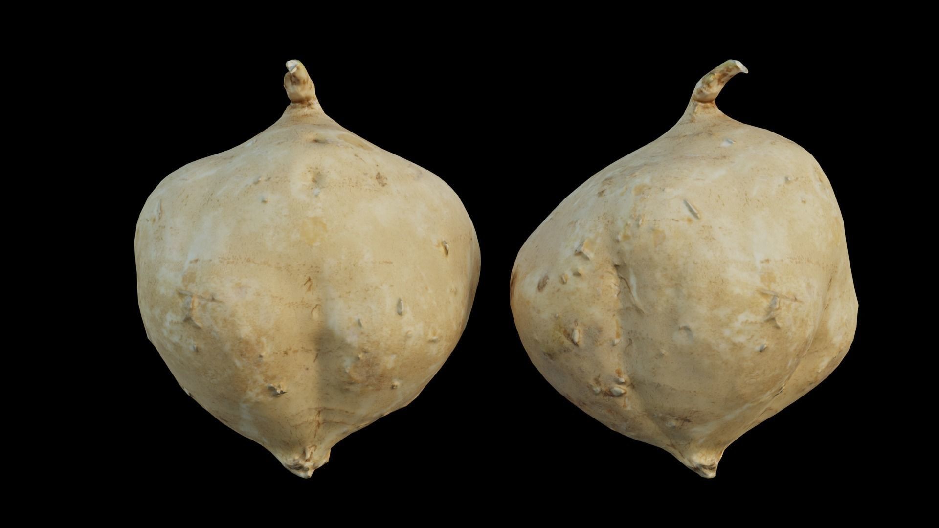 Pachyrhizus erosus 3D model | CGTrader