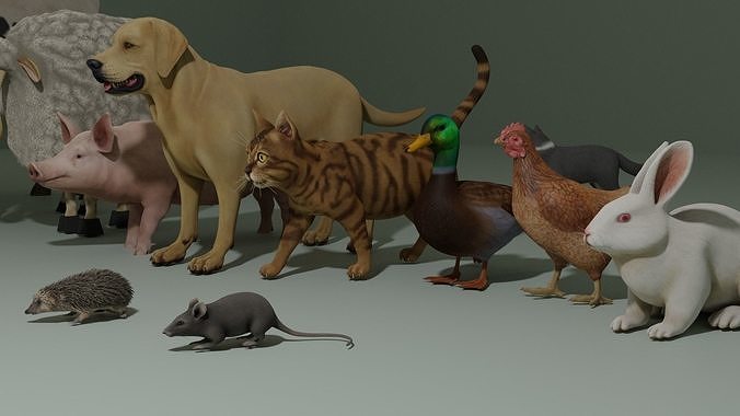 pets animals 1 set of animals 3D model | CGTrader