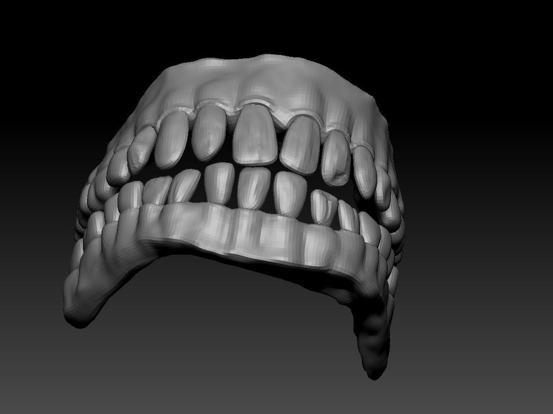 teeth and gums obj 3D model | CGTrader