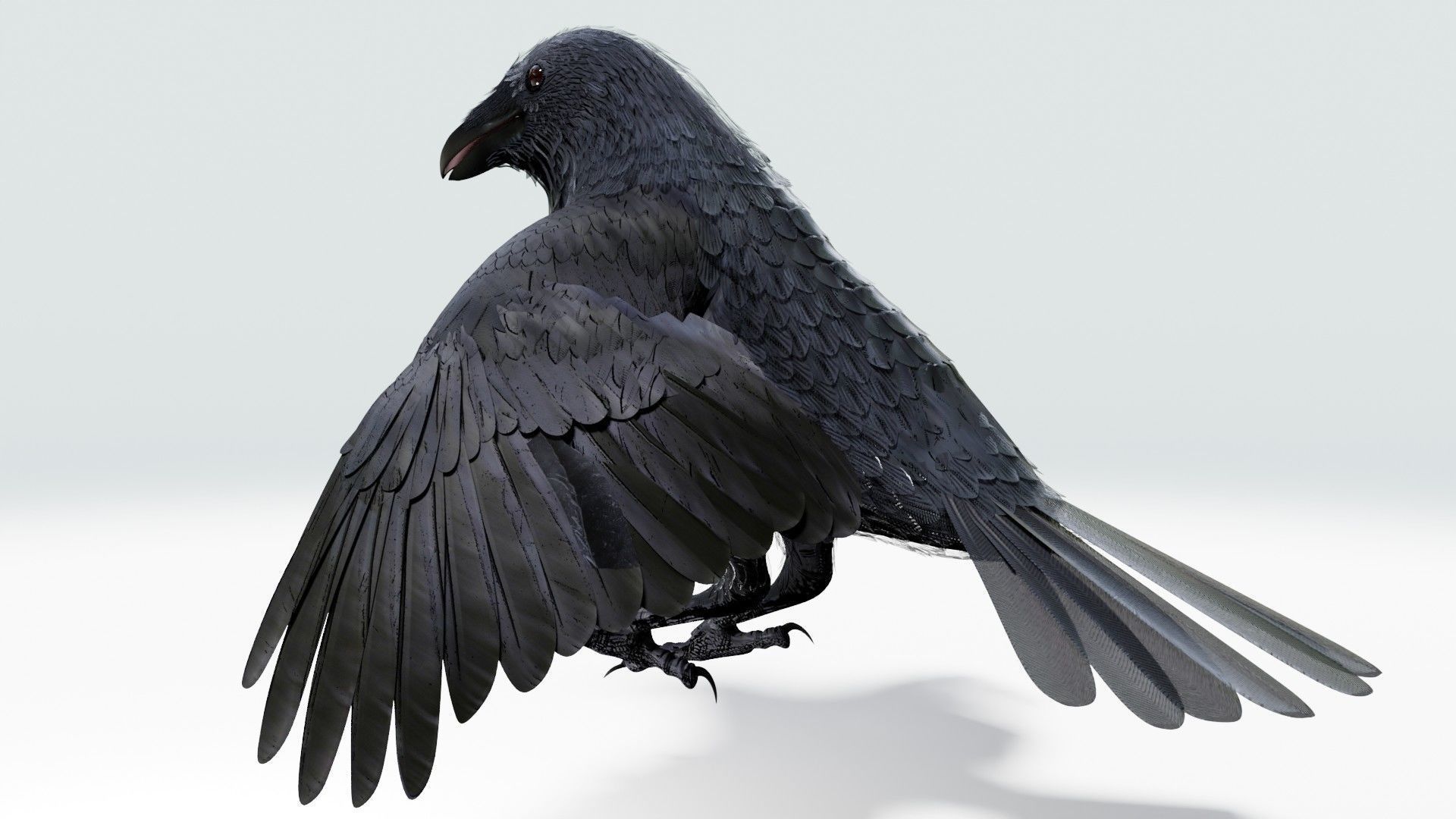 3D model CROW - BLENDER VR / AR / low-poly | CGTrader