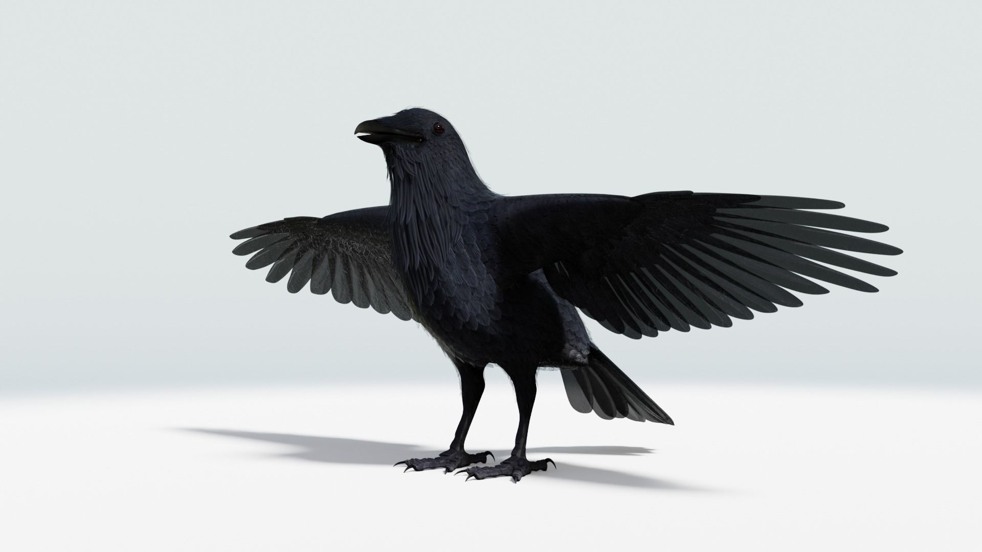 3D model CROW - BLENDER VR / AR / low-poly | CGTrader