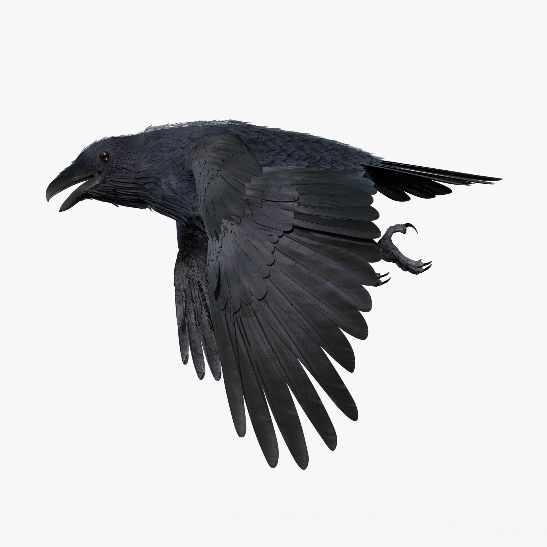 3D model CROW - BLENDER VR / AR / low-poly | CGTrader
