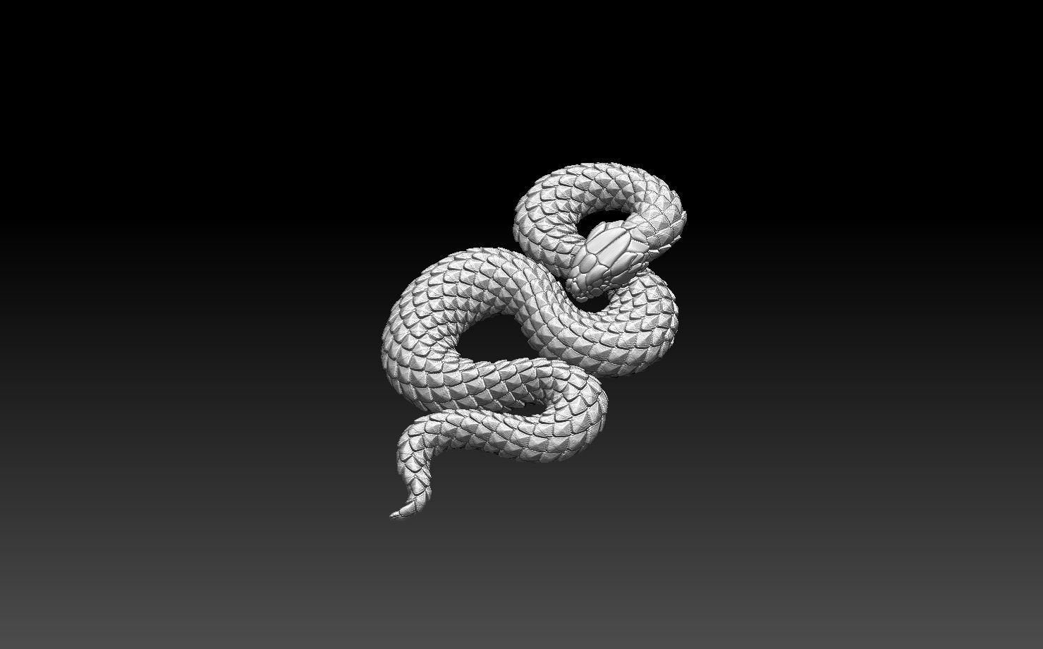 snake 3D model 3D printable | CGTrader