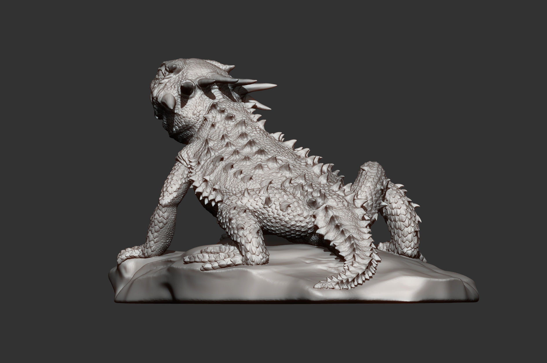 Flat-horned toad lizard Phrynosoma platyrhinos 3D model 3D printable ...
