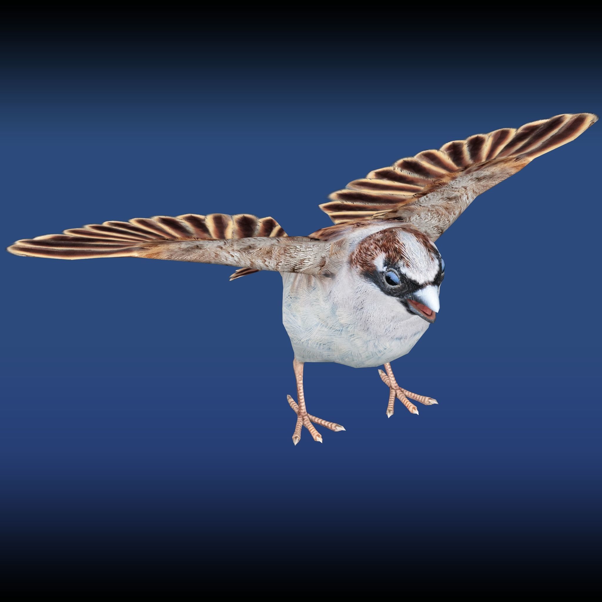 3D model Sparrow Rig VR / AR / low-poly | CGTrader