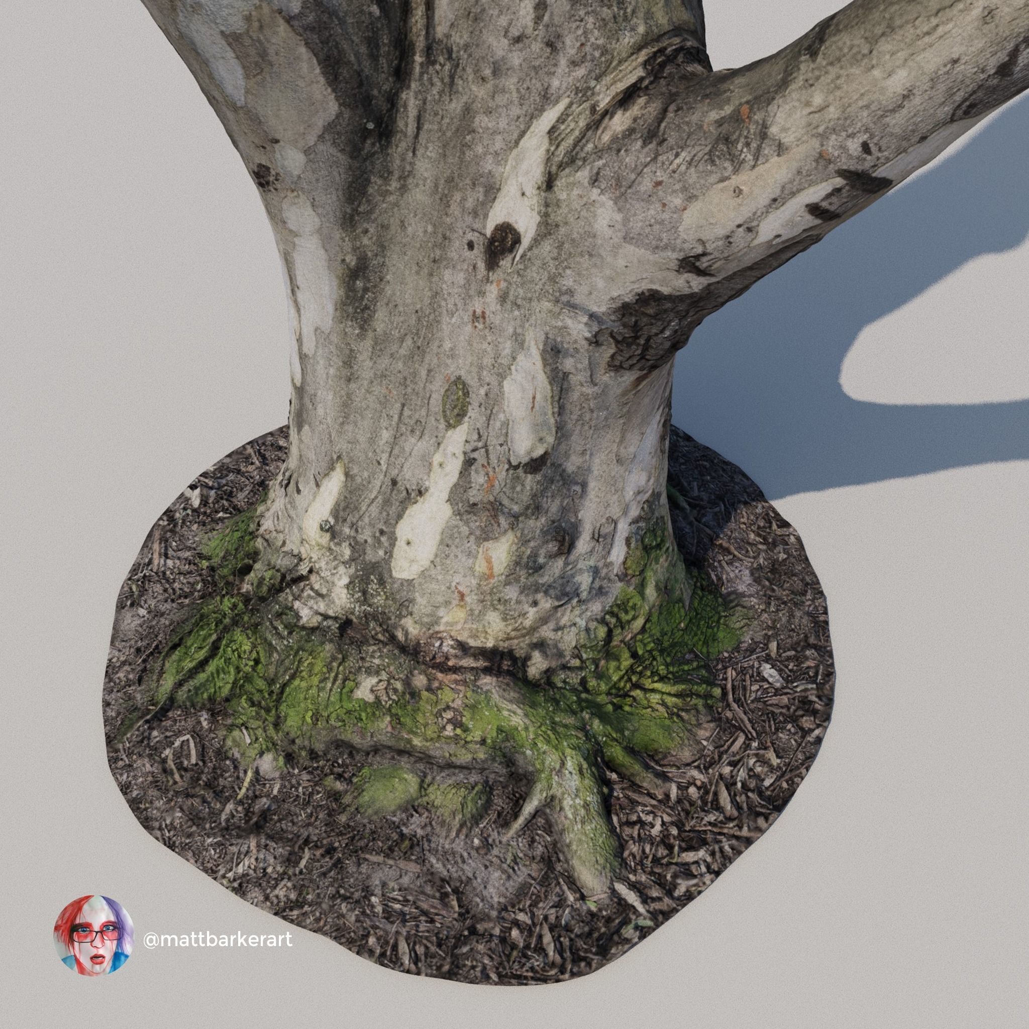 3D model Gum Tree Trunk 3D Model VR / AR / low-poly | CGTrader