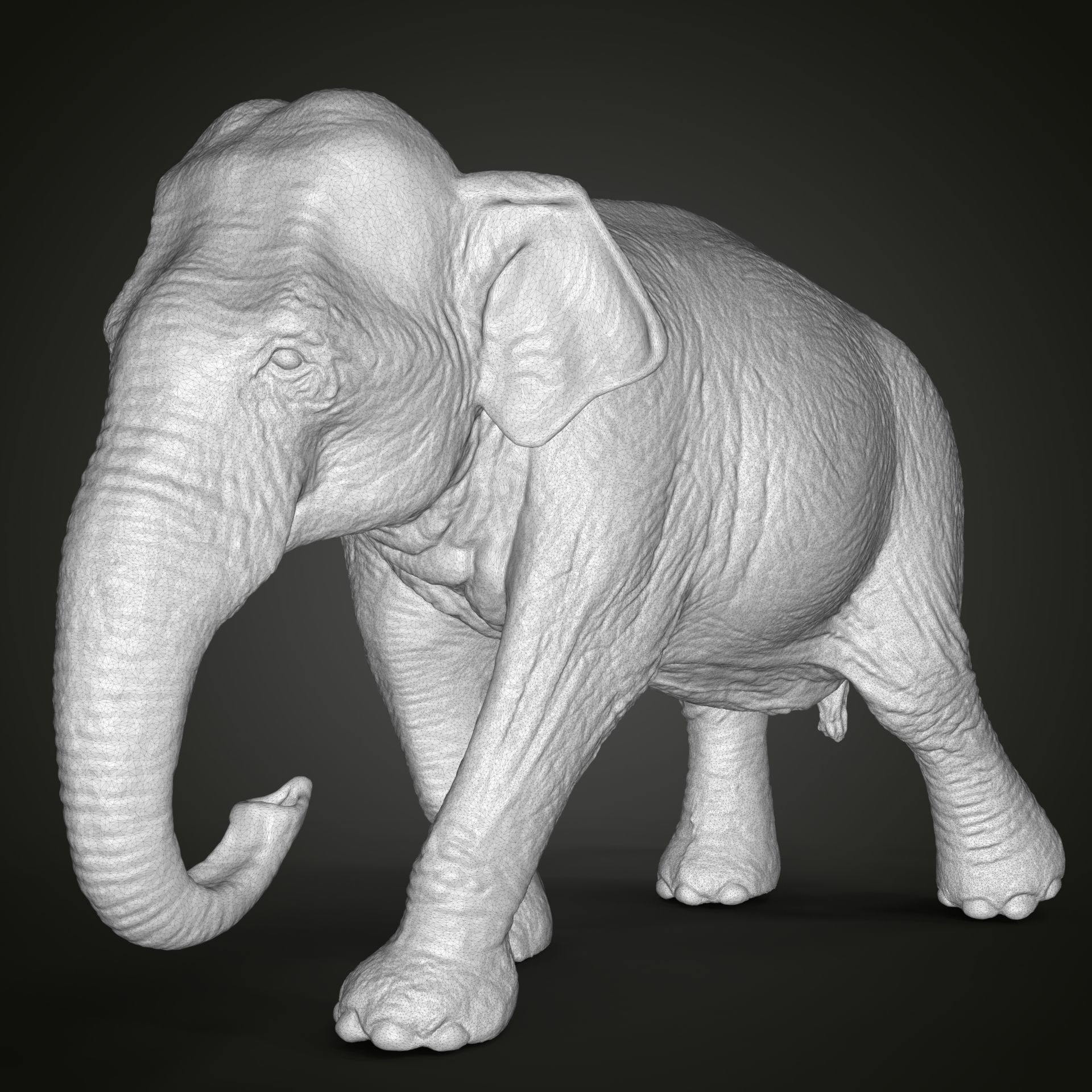 Asian elephant 3D model 3D printable | CGTrader