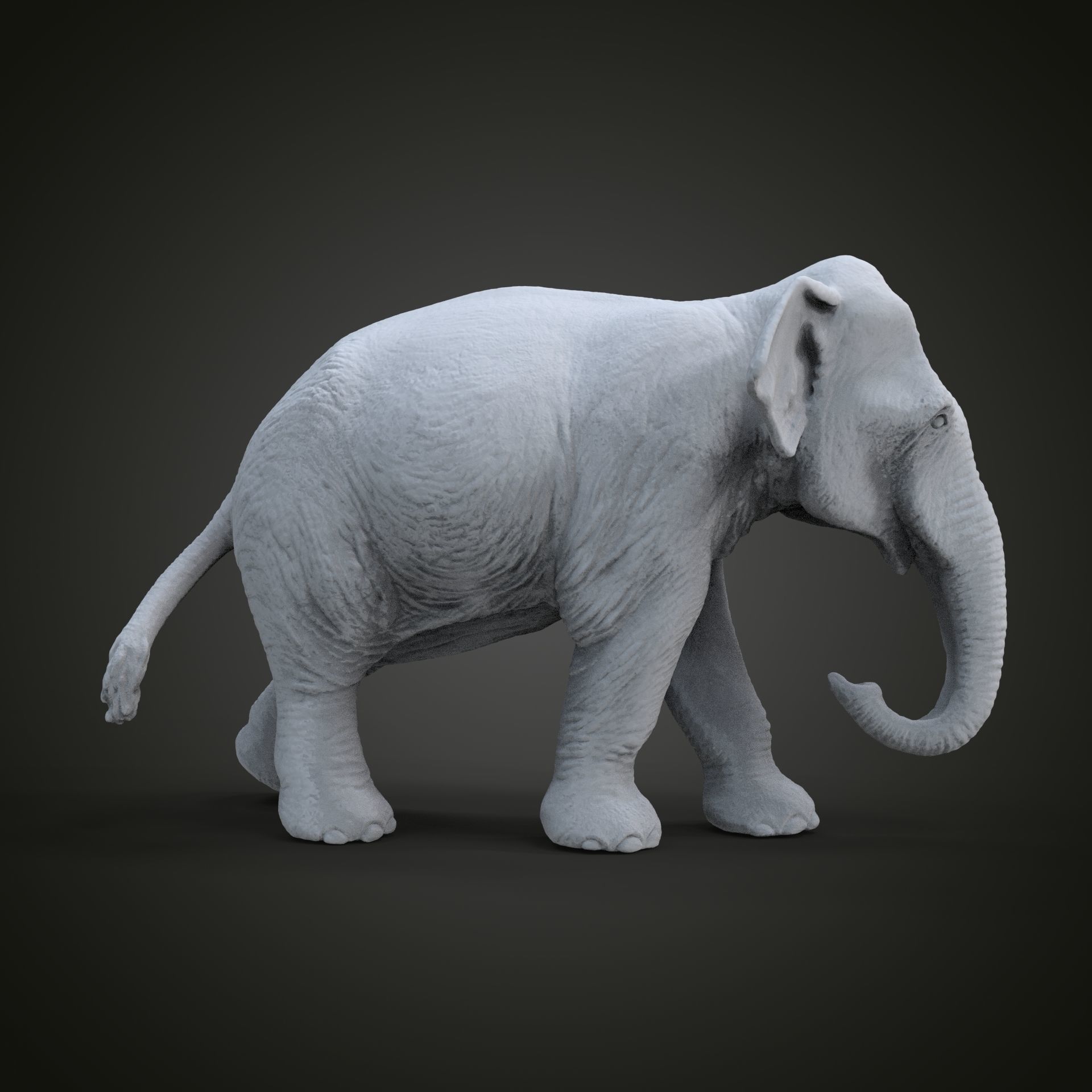 Asian elephant 3D model 3D printable | CGTrader