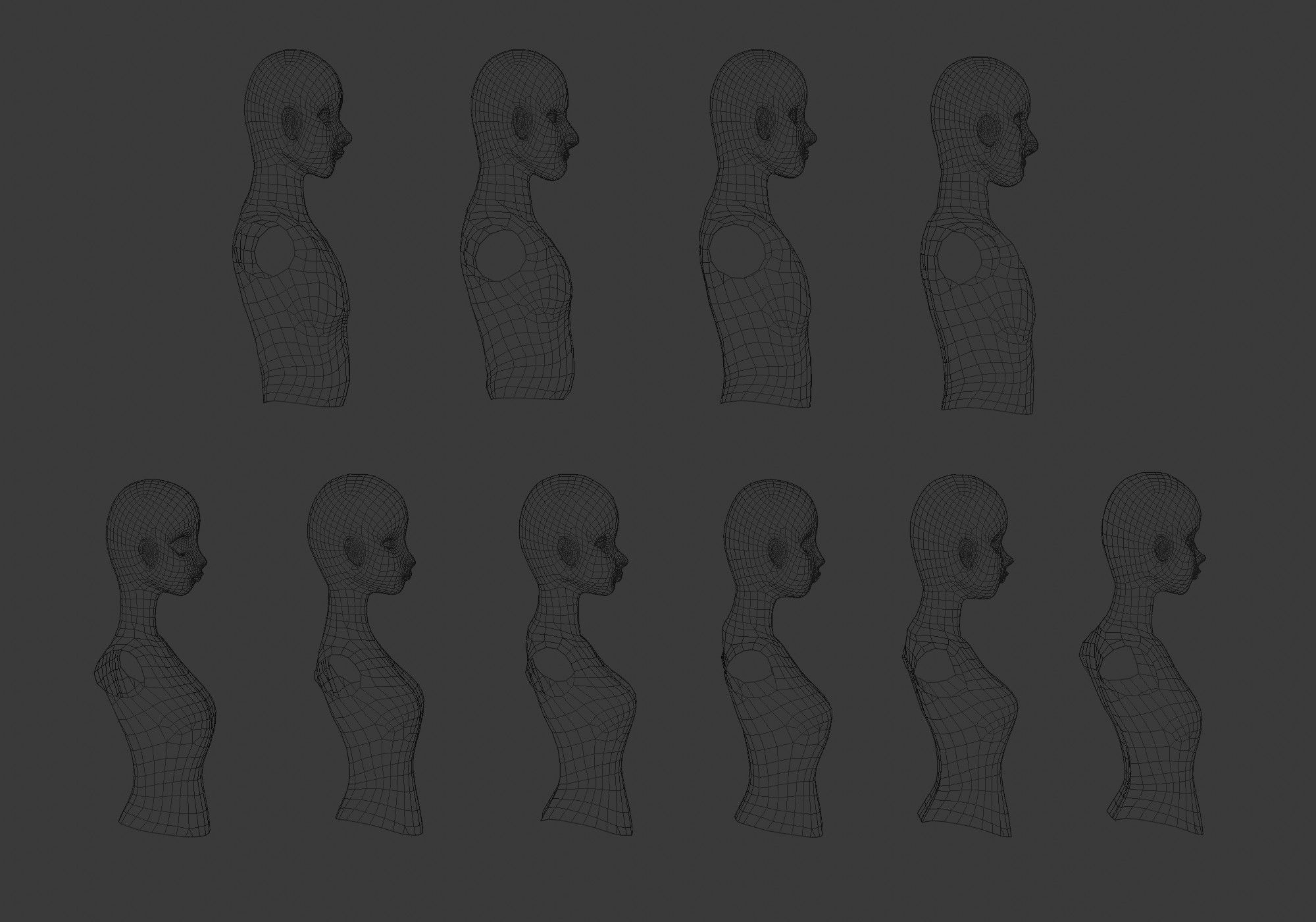 female and male upper body 3D model | CGTrader