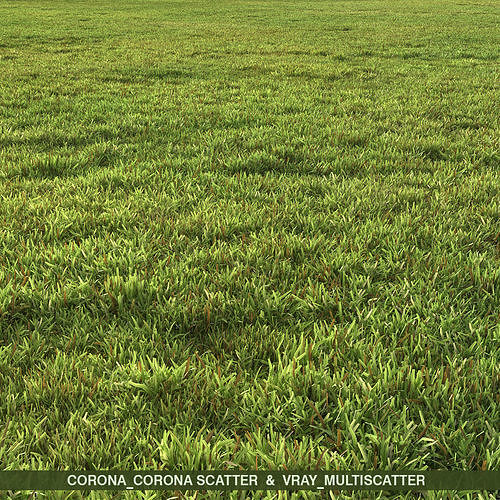 Flat grass 2 3D model | CGTrader