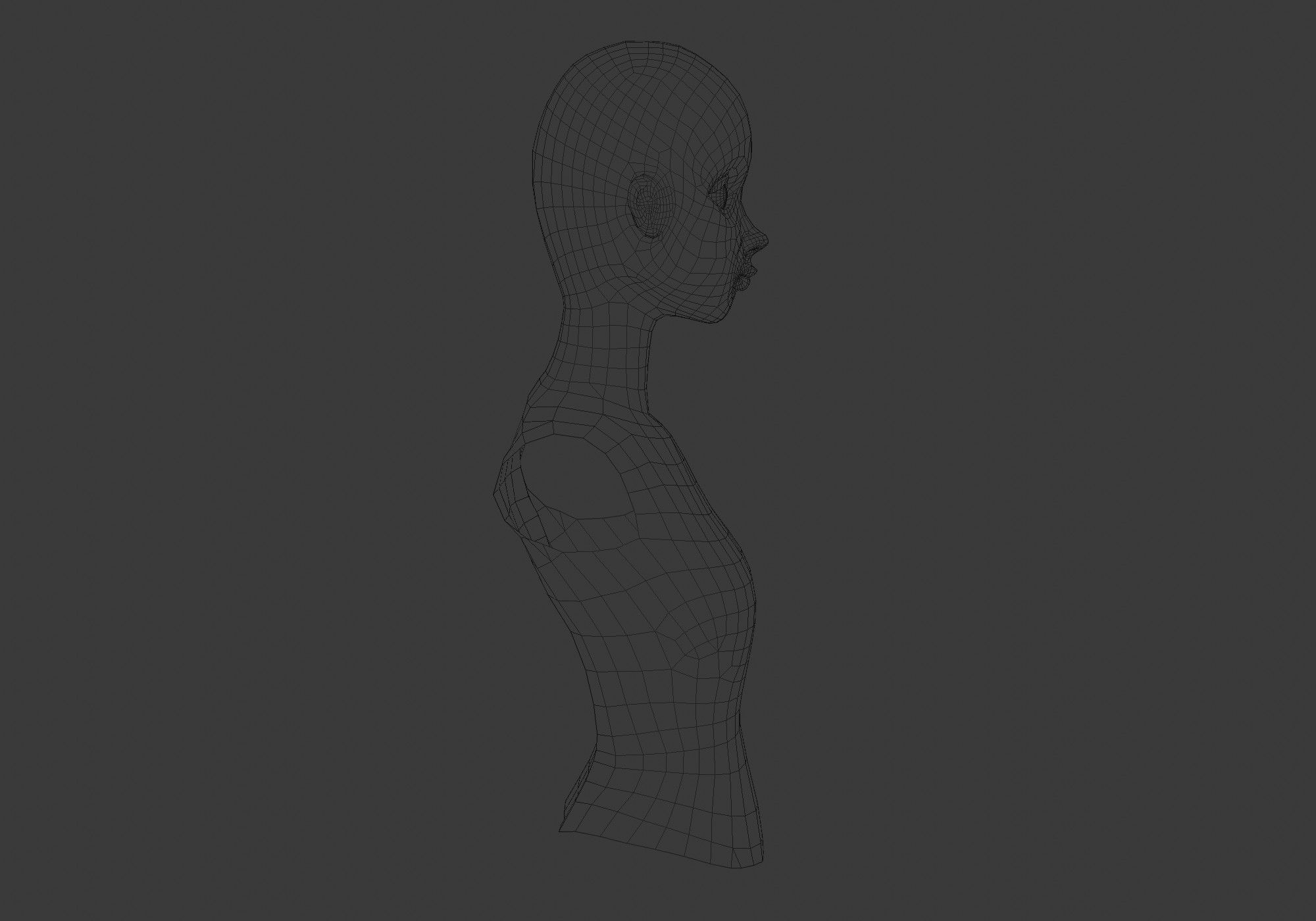 basic female torso 3D model | CGTrader