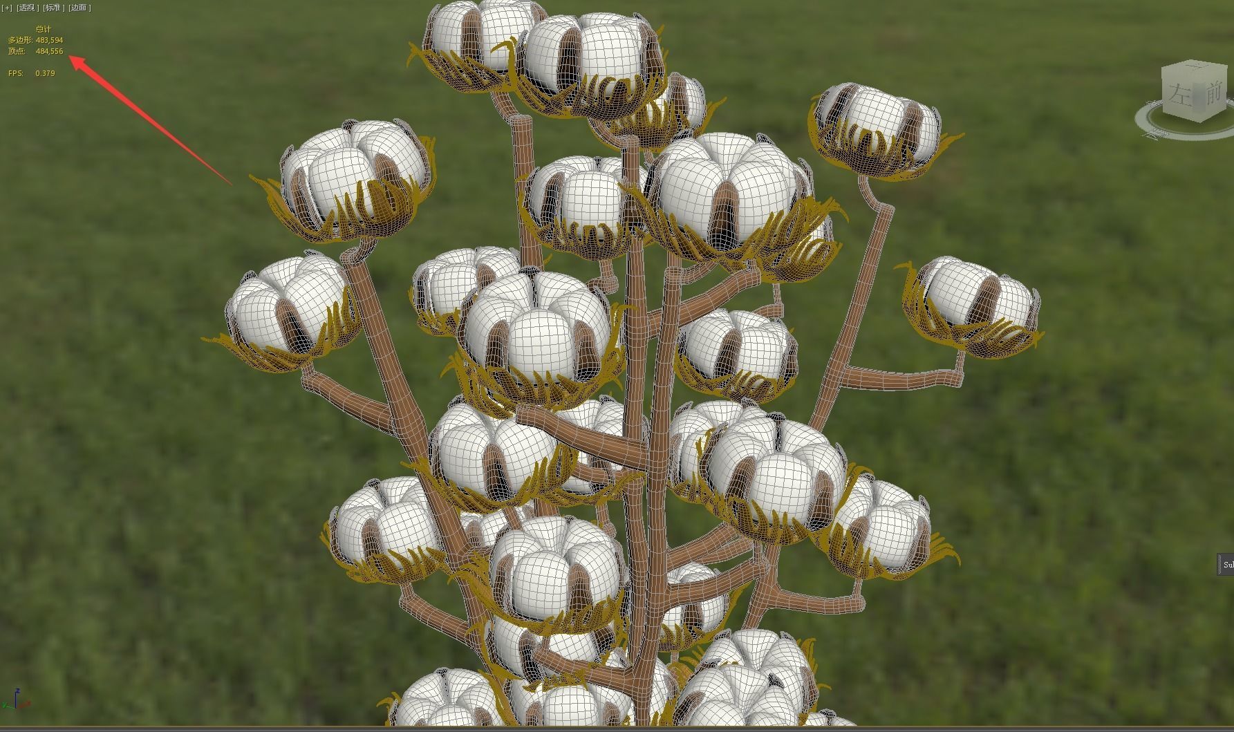 Next-generation cotton model download 3D model | CGTrader