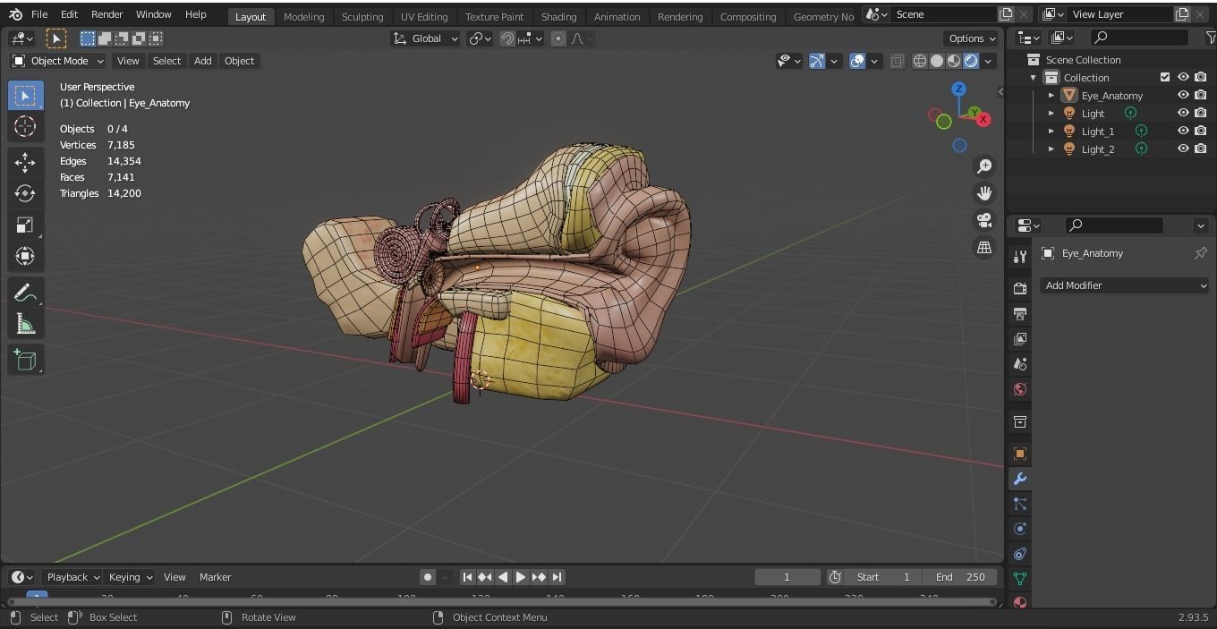 3D model Ear Anatomy Cross Section VR / AR / low-poly | CGTrader