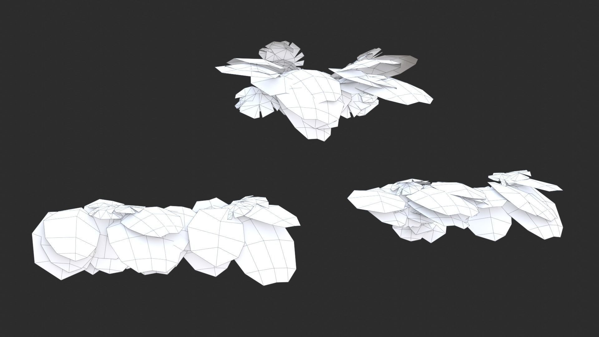 3D model Monstera Plant Set VR / AR / low-poly animated | CGTrader