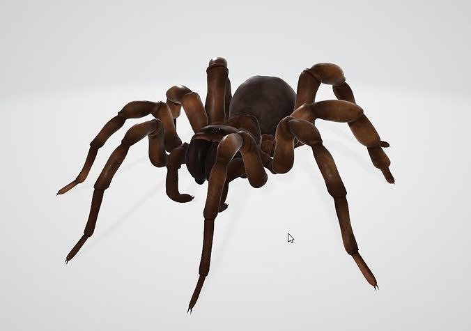 Trapdoor Spider 3D model 3D printable | CGTrader
