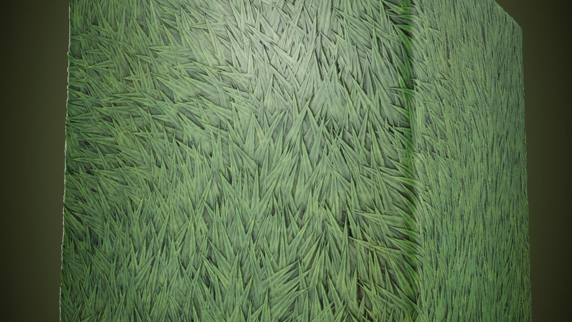 Grass PBR Tiling Texture Texture | CGTrader