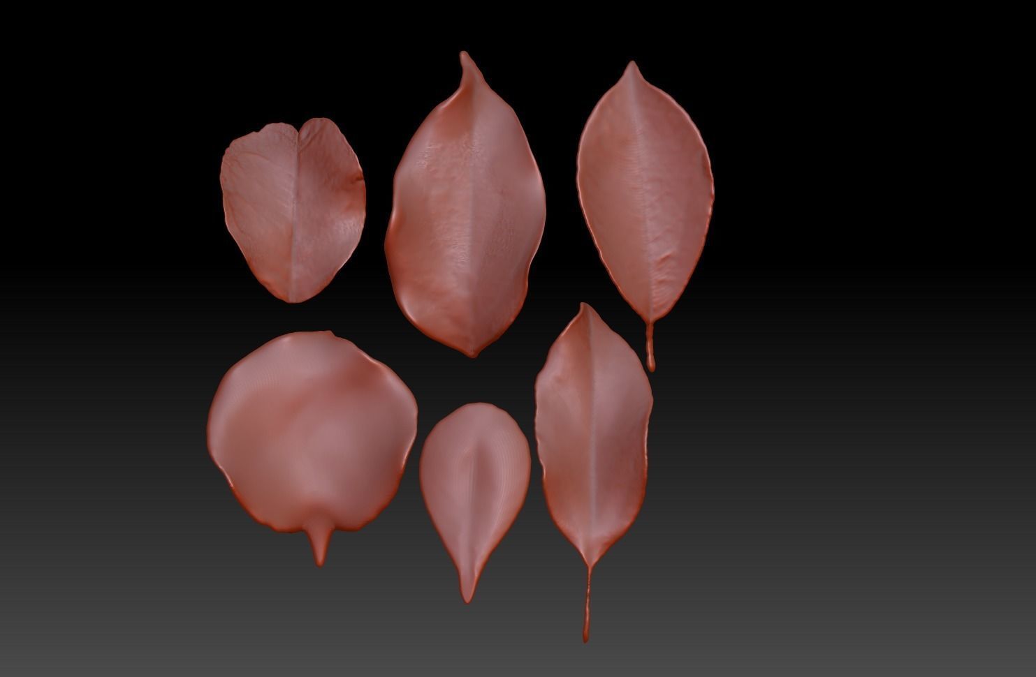 Original 6 realistic leaves ZB brush download 3D printing leaves 3D ...