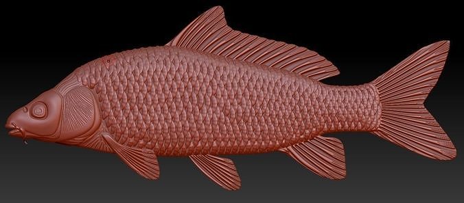 3d STL Model for CNC Carp fish 3D model | CGTrader