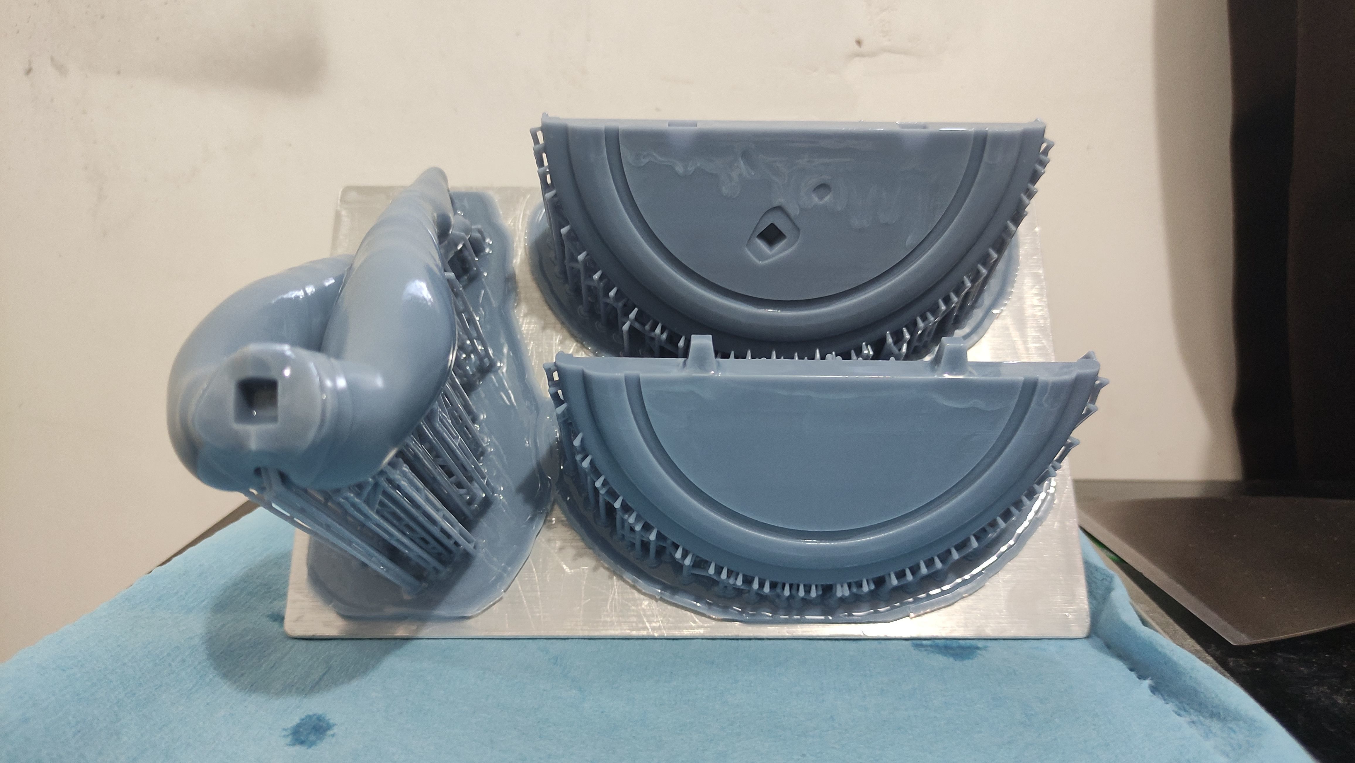 Ahri Bunny STL Ready for 3D Printing 3D model 3D printable | CGTrader