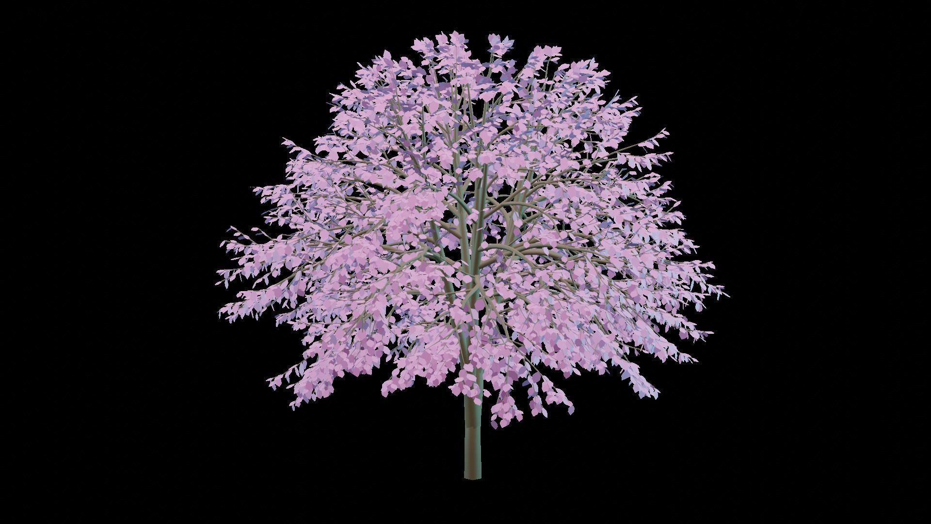 Cherry Tree Low Poly free 3D model | CGTrader