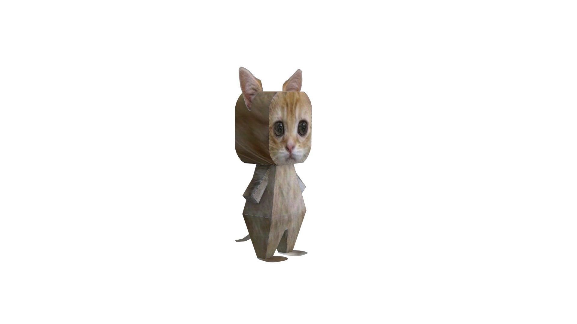 3D model The Cat - Mi gato - meme VR / AR / low-poly | CGTrader