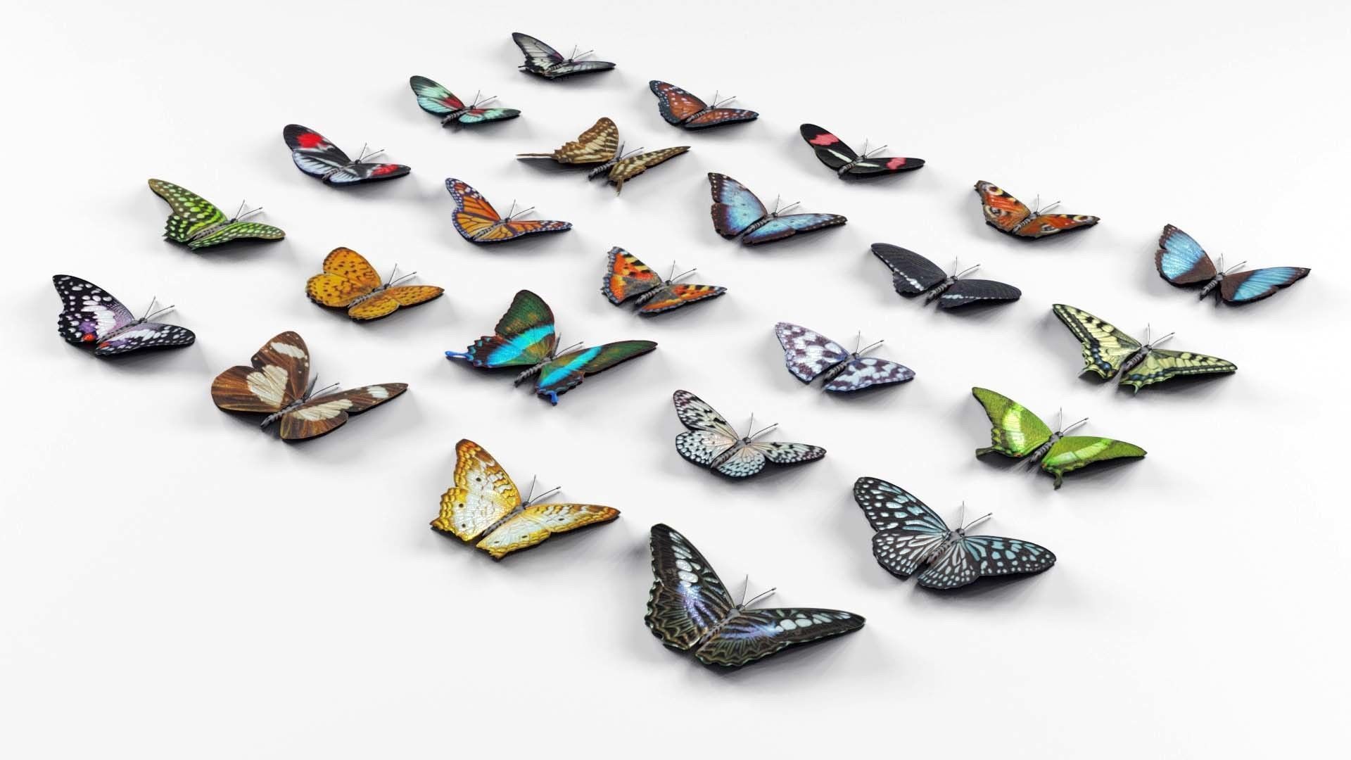 3D model Butterflies Collection - 24 Rigged Low-Poly Butterfly Models ...