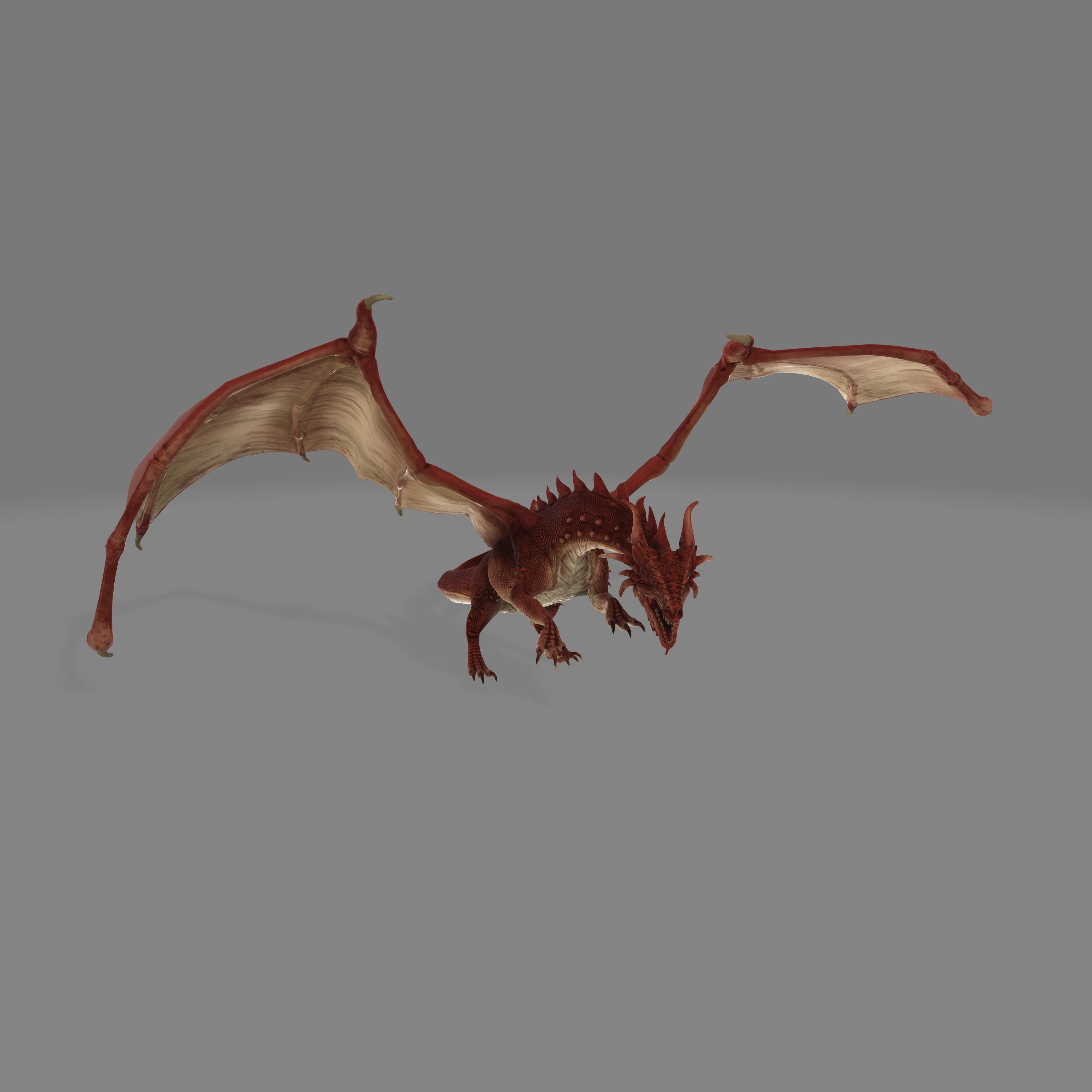 red dragon 3D model | CGTrader